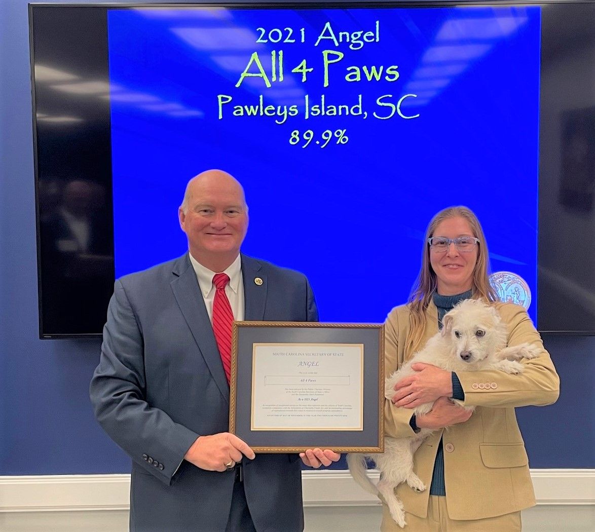 Angels | SC Secretary of State